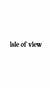 isle of view